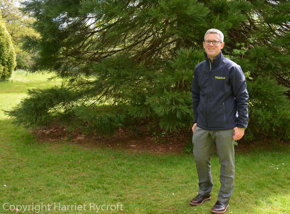 Wakehurst – walking on a bluebell planet – A PARROT'S NEST