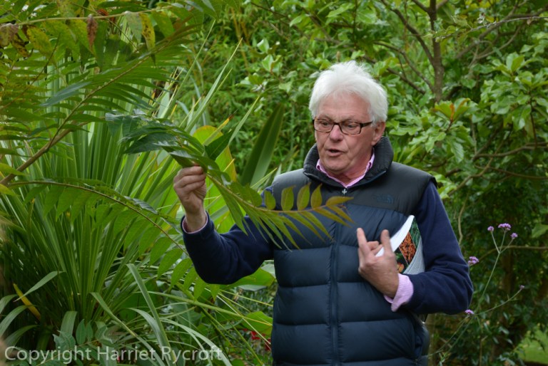 Books – Roy Lancaster, East Anglia and other locations – A PARROT'S NEST